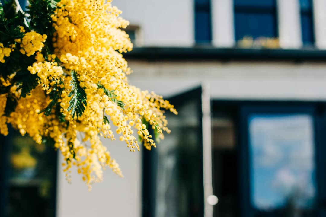 Book a viewing - Thank you page. - Seymours